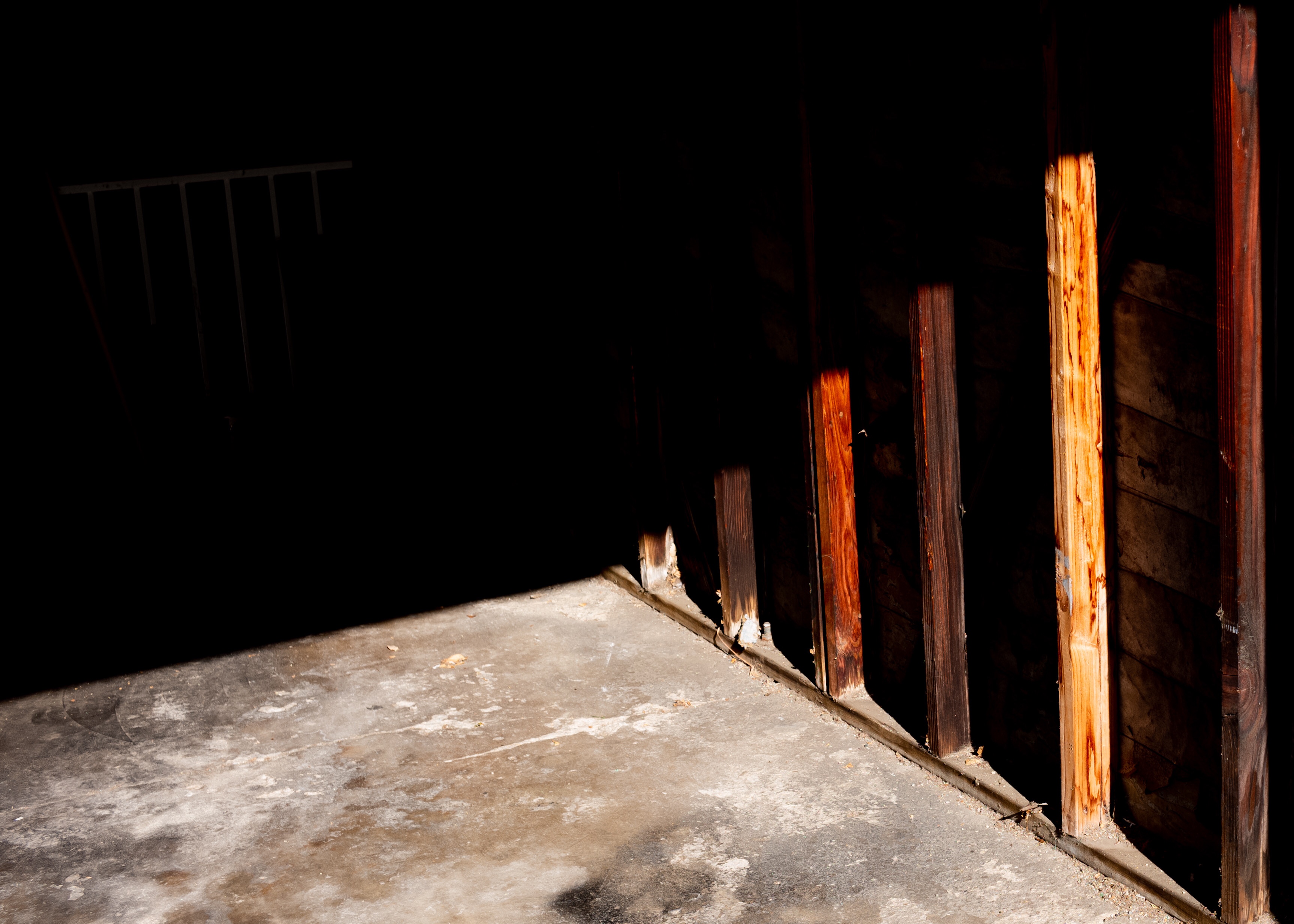 Color Beams | 50'Lux